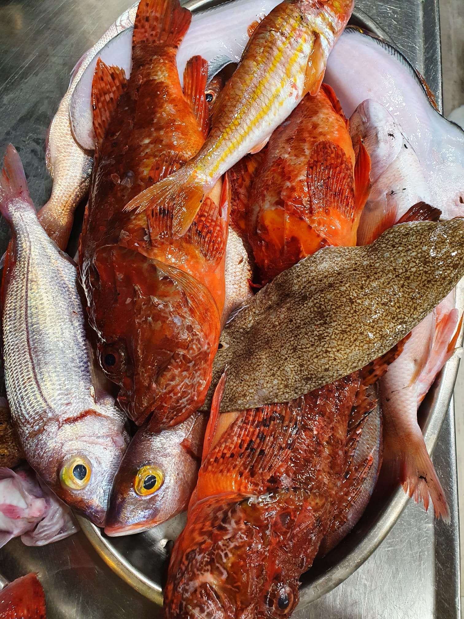 Fresh fish in Port d'Andratx - Restaurant Can Pep